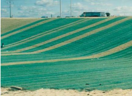 Curlex Blanket - Erosion Control Explained | BV Hydroseeding