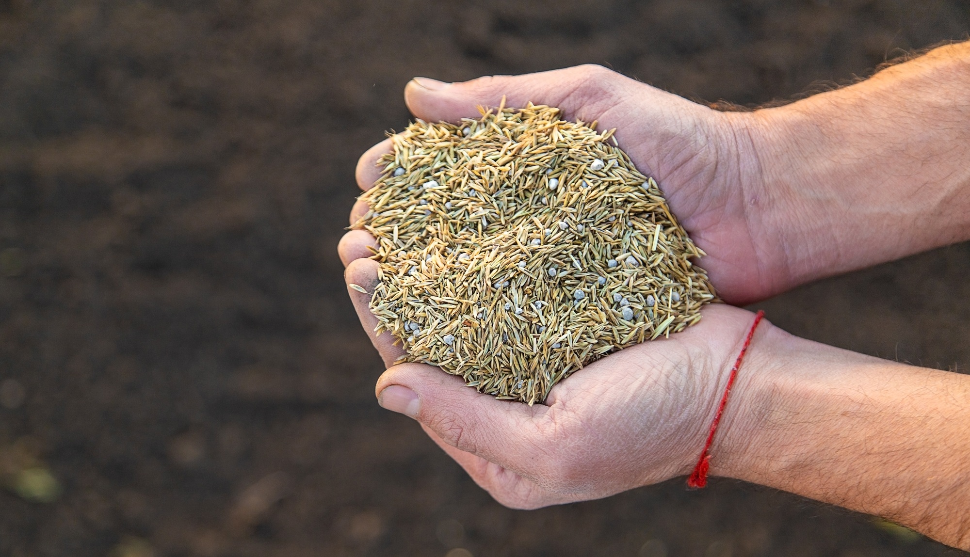 Explore Our Seed Selections - BV Hydroseeding